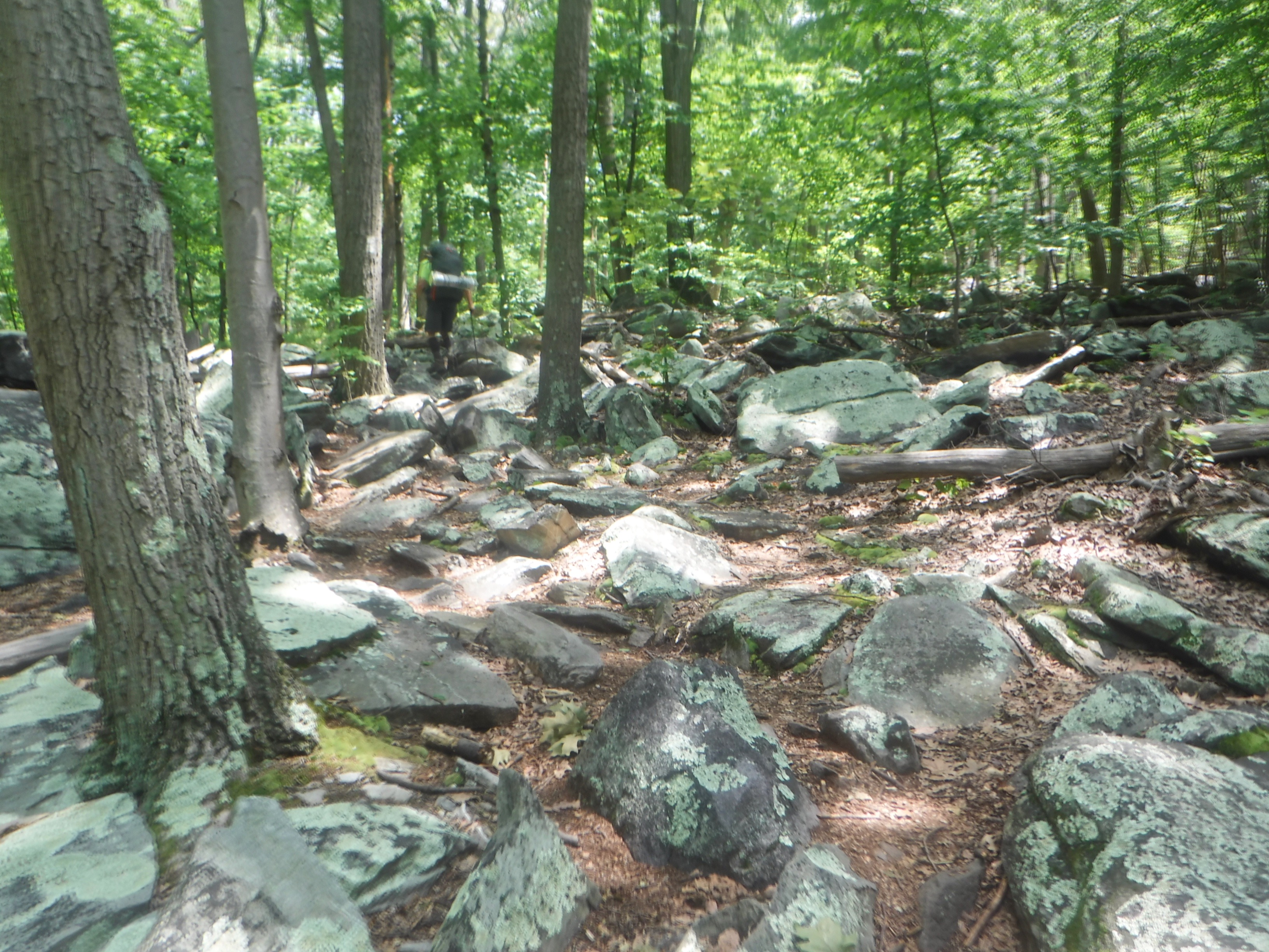 AT 2017: Day 82, Ensign Cowall Shelter to Pa. Route 16 | Hike with Gravity