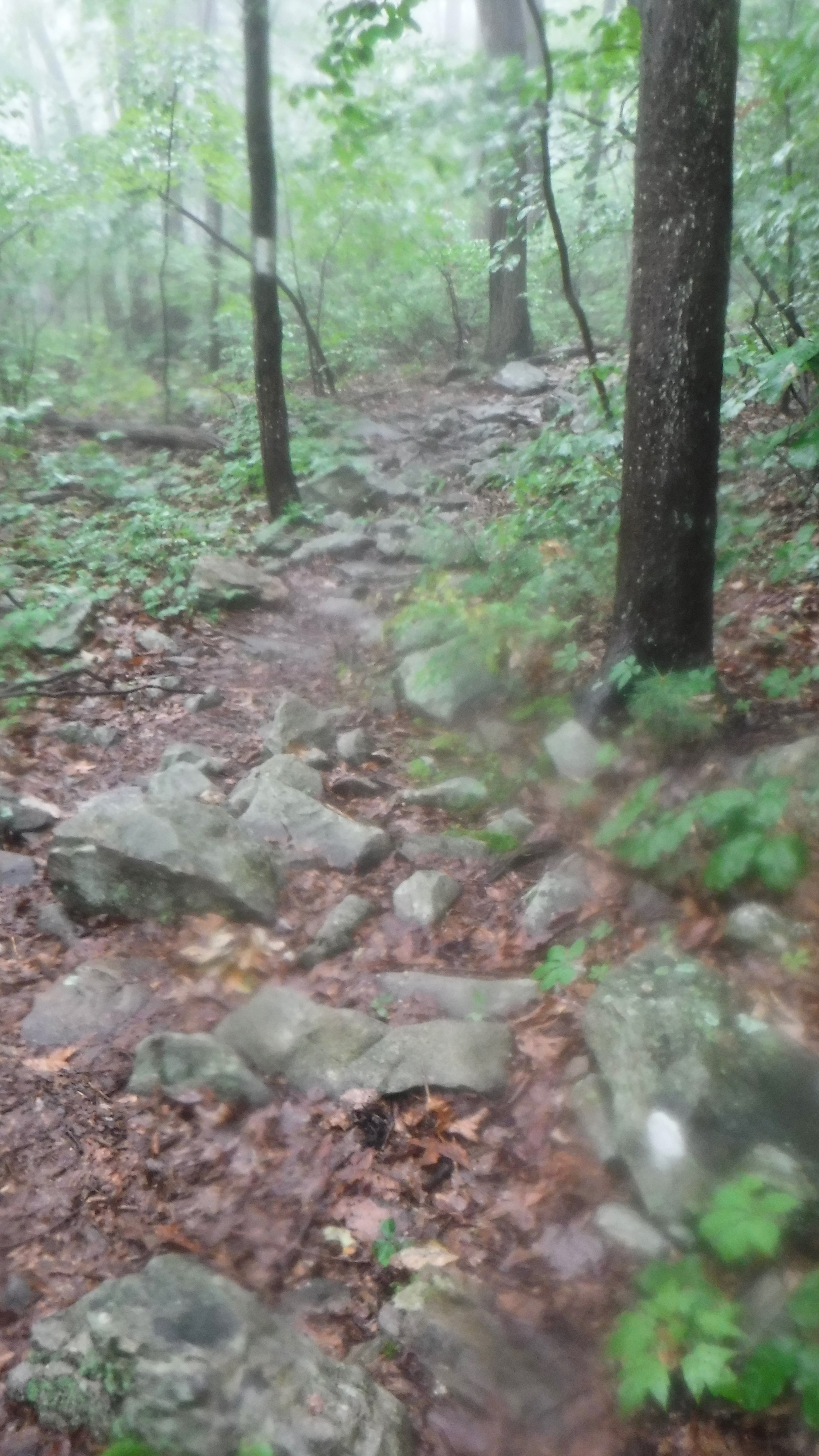 AT 2017: Day 87, U.S. 11 to Duncannon | Hike with Gravity