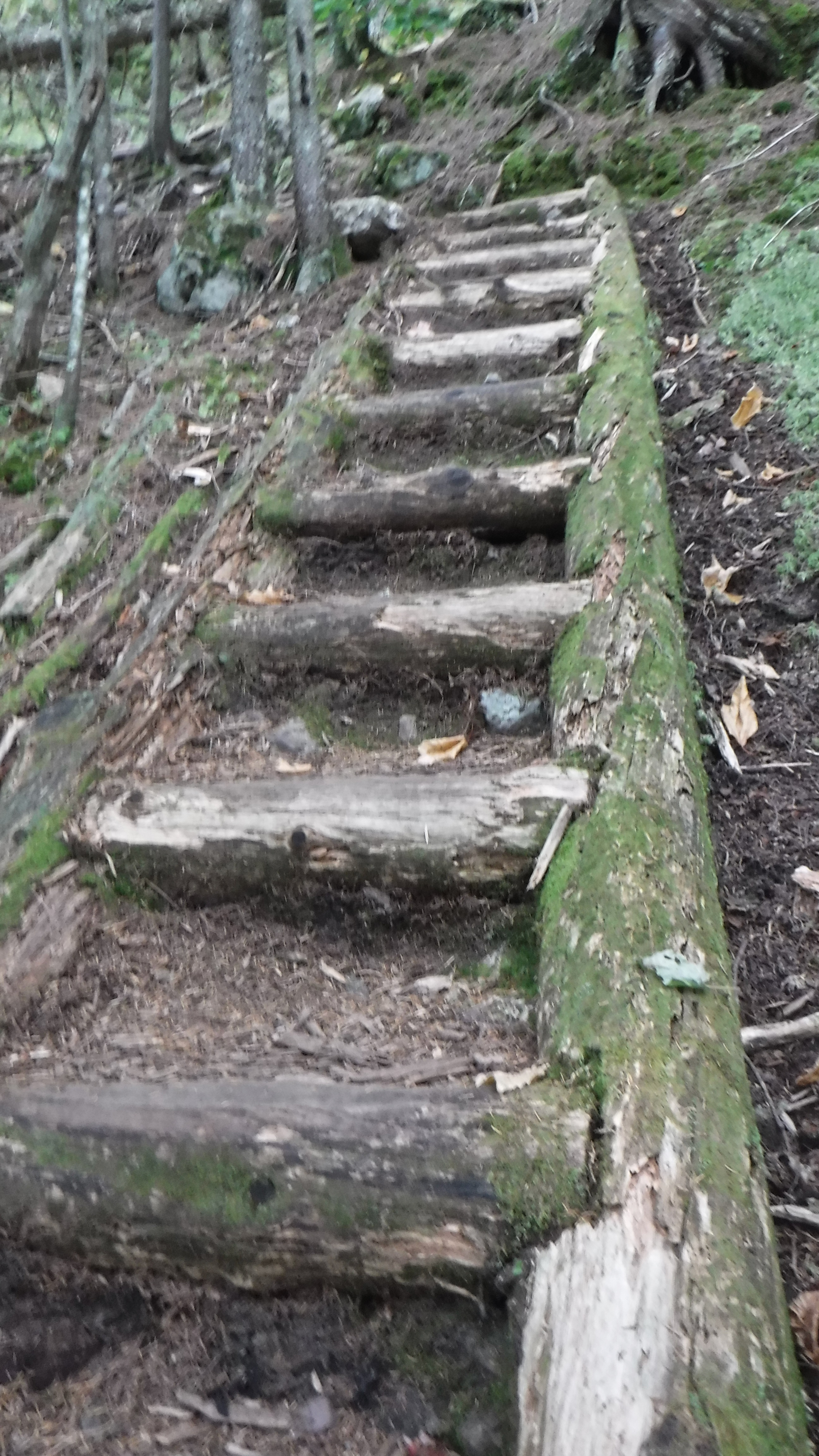 AT 2017: Day 158, Sawyer Brook to Bemis Mountain Lean-to | Hike with ...