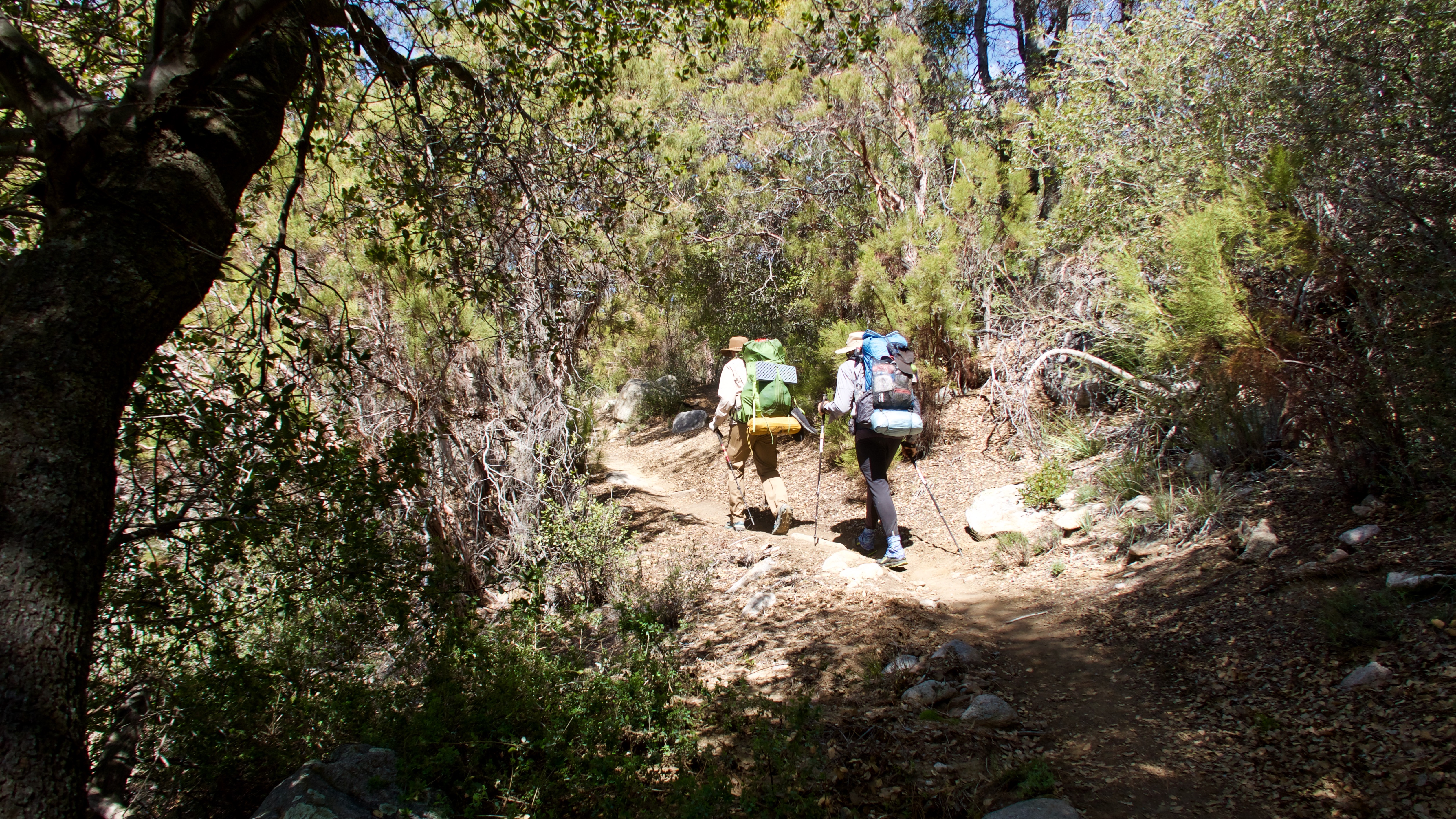 PCT 2019: Day 14, Idyllwild to Fobes Ranch Trail Jct. | Hike with Gravity