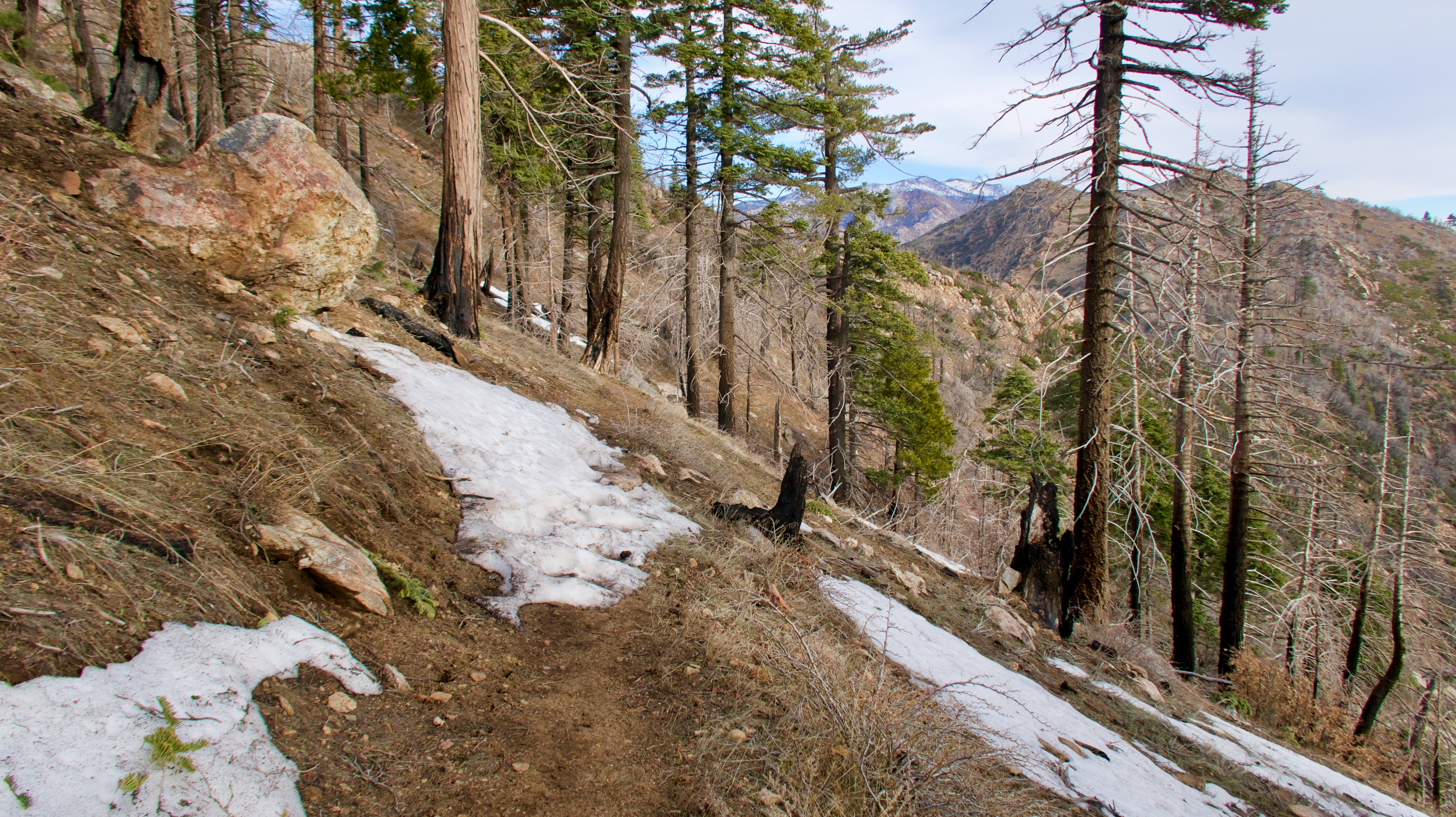 PCT 2019: Day 15, Fobes Ranch Trail Jct. to Tentsite at Mile 176.4 ...